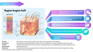 Pelatihan PBI Bekam merupakan bekal bagi terapis | PPTX