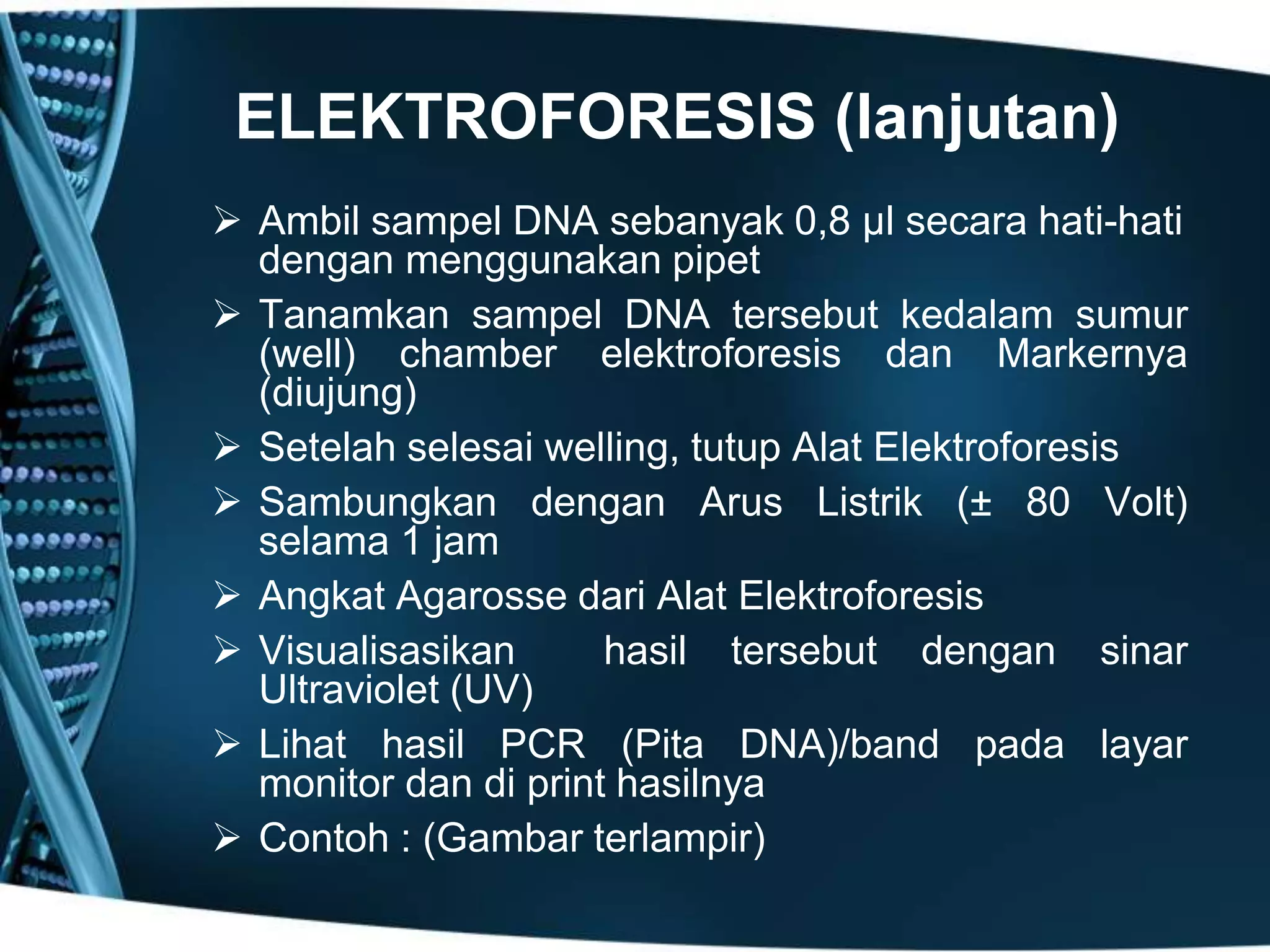 Pelatihan pcr 1 eijkman | PPTX