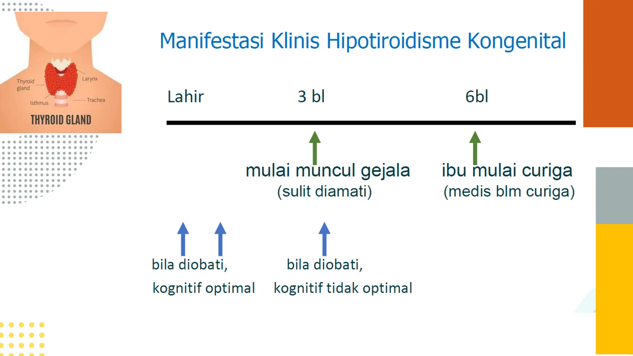 Pelatihan PJB dan SHK untuk ibu nifas dan bayi baru lahir di puskesmas.pptx