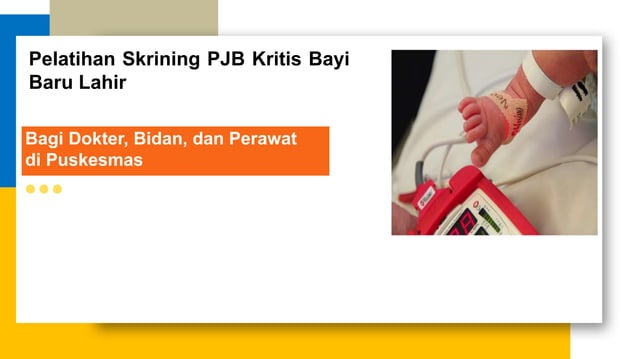 Pelatihan PJB dan SHK untuk ibu nifas dan bayi baru lahir di puskesmas.pptx