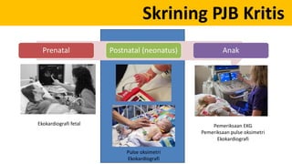 Pelatihan PJB dan SHK untuk ibu nifas dan bayi baru lahir di puskesmas.pptx