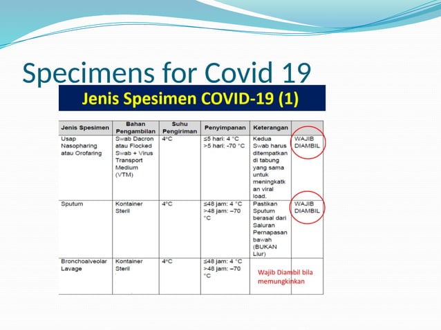 Pelatihan swab nasofaring dan orofaring yang benar | PPT
