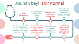 Pelayanan kesehatan bayi baru lahir | PPTX