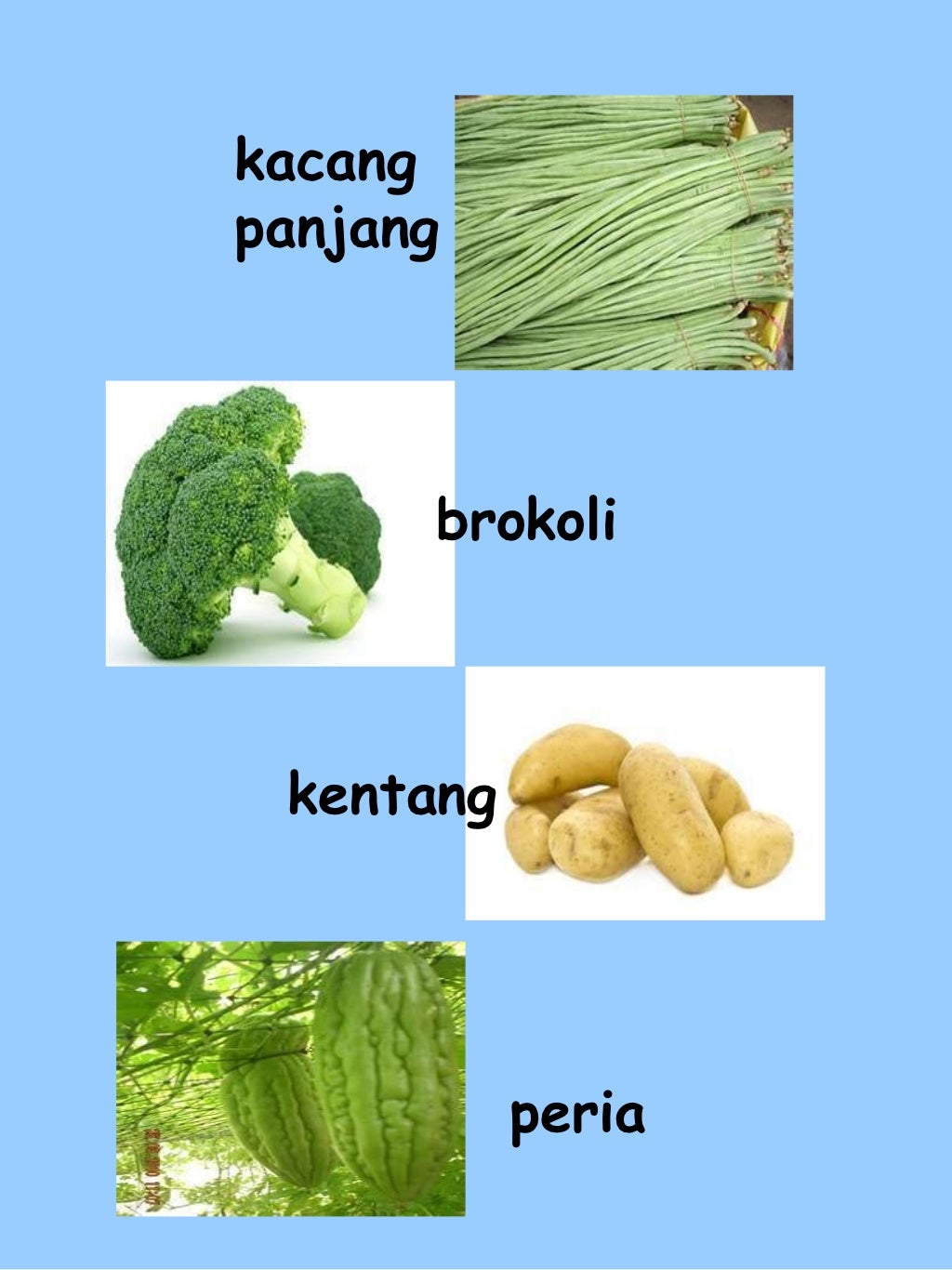 Pelbagai jenis sayur sayuran
