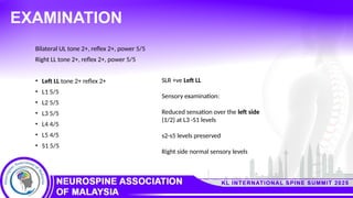 percutaneous endoscopic lumbar discectomy | PPTX