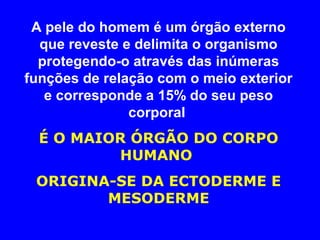 Pele humana | PPT