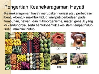 Pelestarian makhluk hidup | PPT