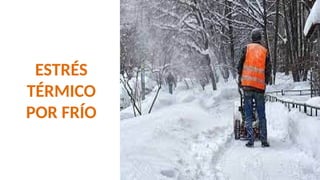 PELIGRO FÍSICO ESTRES TERMICO -FRIO.pptx