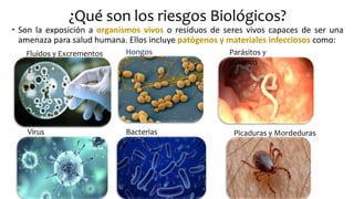 Peligros Biologicos