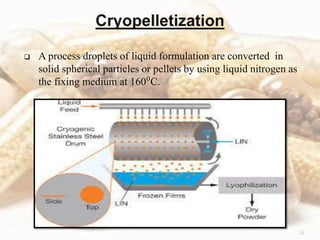 Pelletization | PPTX