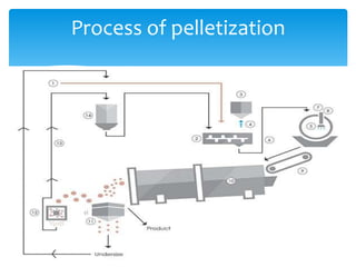 Pelletization and granulation | PPTX