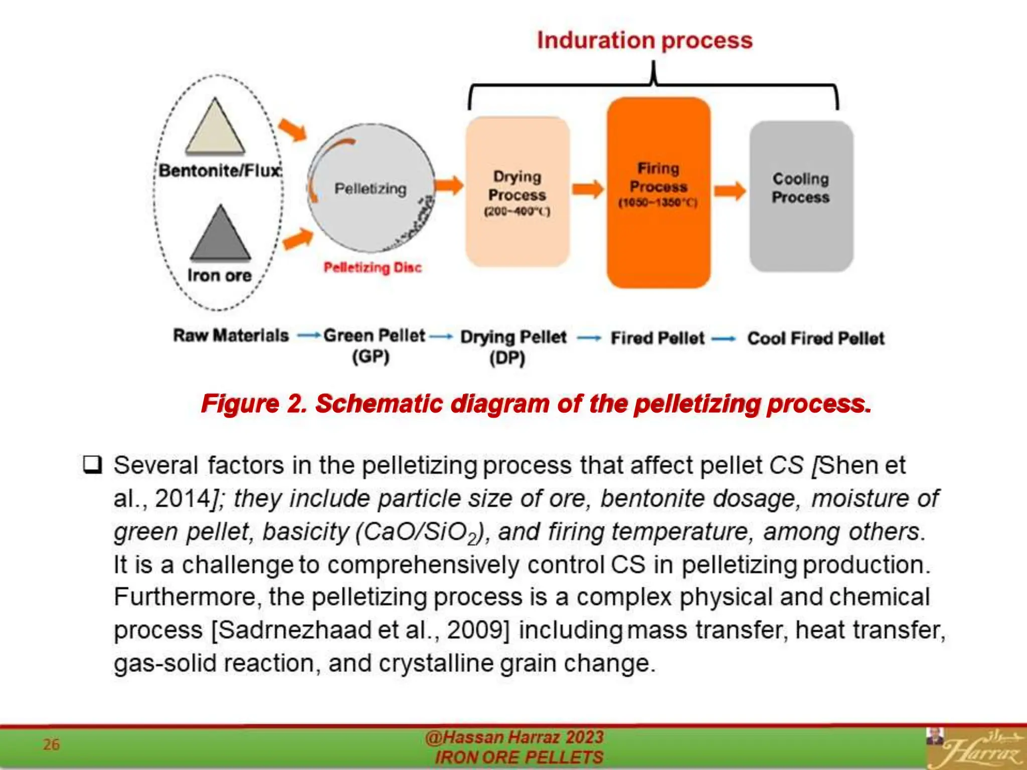 Pelletizing Process.pdf