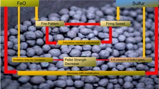 Pellet vs analyziz.pptx