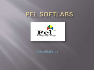 Pelsoft complaints | PPT