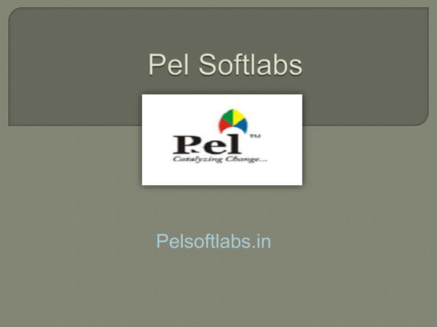 Pel Softlabs Pvt Ltd | PPTX