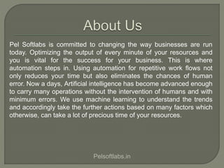 Pel Softlabs Pvt Ltd | PPTX