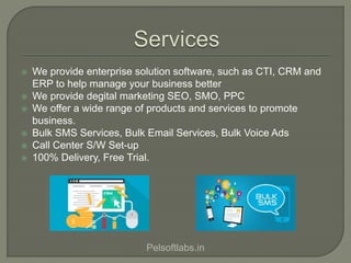 Pel Softlabs Pvt Ltd | PPTX