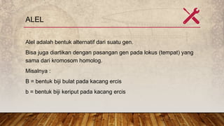 Peluang Dalam Pewarisan Sifat | PPTX
