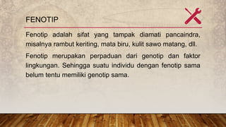 Peluang Dalam Pewarisan Sifat | PPTX