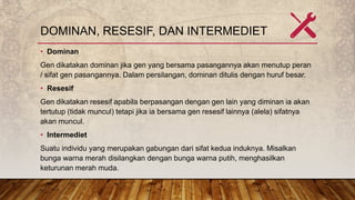Peluang Dalam Pewarisan Sifat | PPT