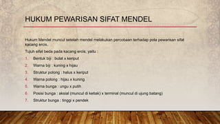 Peluang Dalam Pewarisan Sifat | PPTX