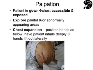 Pe lungexam | PDF | Lung and Respiratory Health | Diseases and Conditions