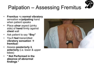 Pe lungexam | PDF | Lung and Respiratory Health | Diseases and Conditions