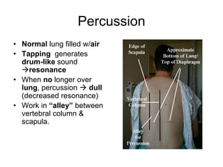 Pe lungexam | PDF | Lung and Respiratory Health | Diseases and Conditions
