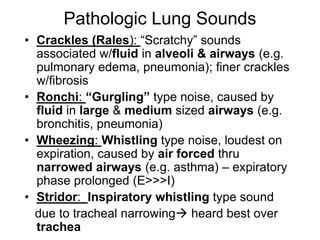 Pe lungexam | PDF | Lung and Respiratory Health | Diseases and Conditions