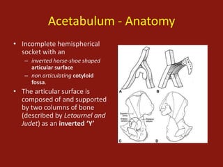Pelvic and acetabular fractures | PPTX