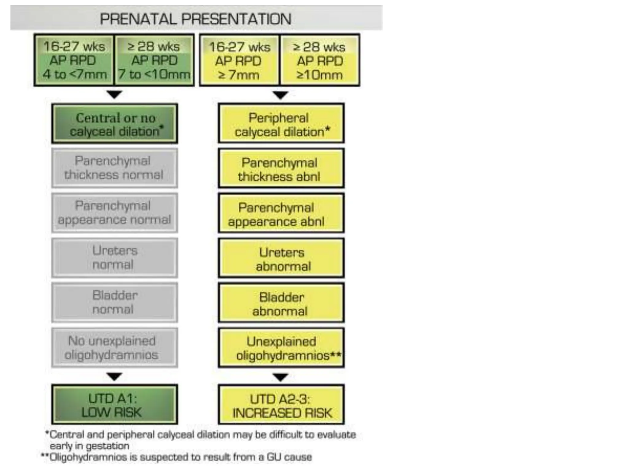 Pelvi-ureteric junction obstruction | PPTX