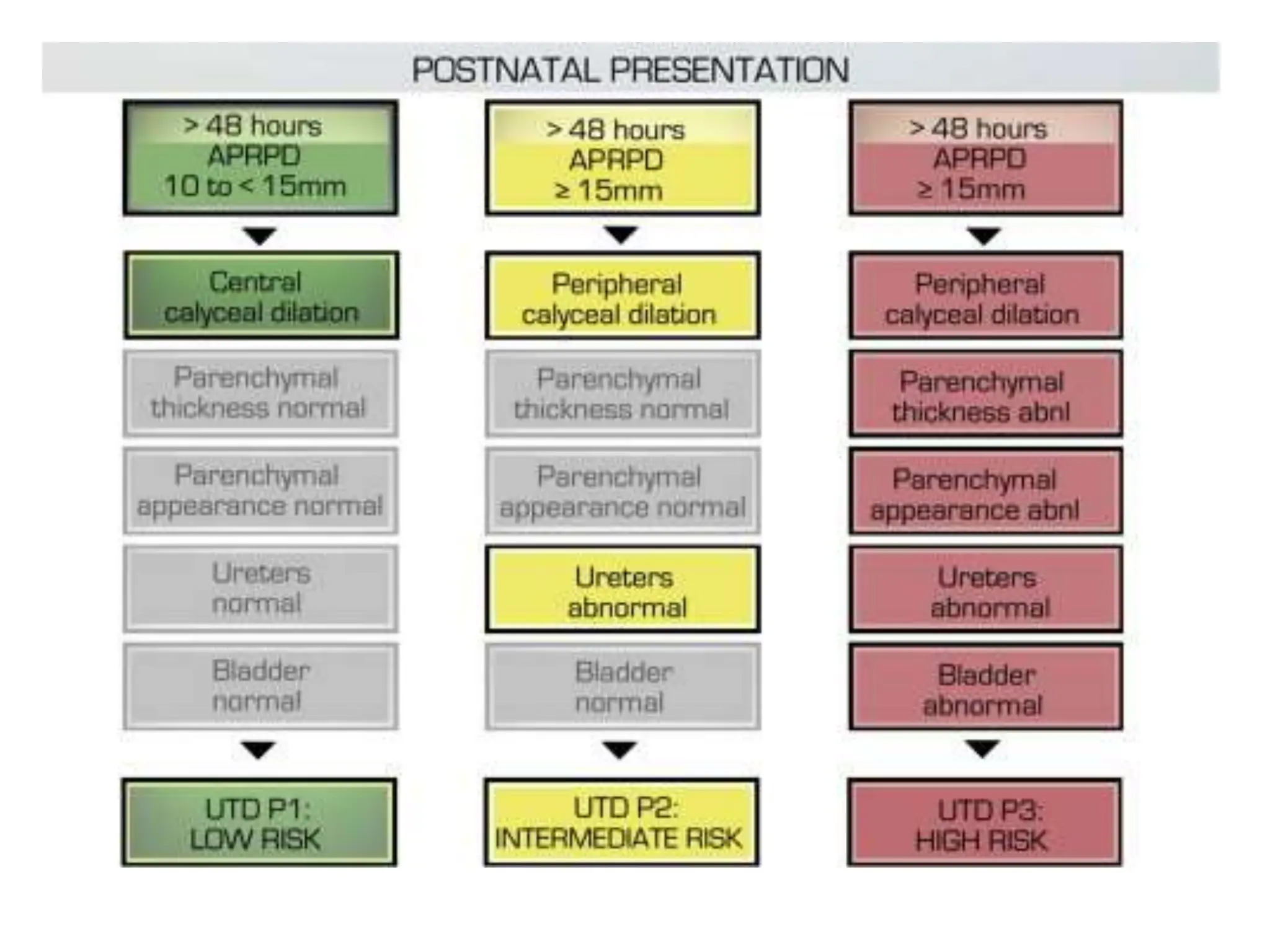 Pelvi-ureteric junction obstruction | PPTX