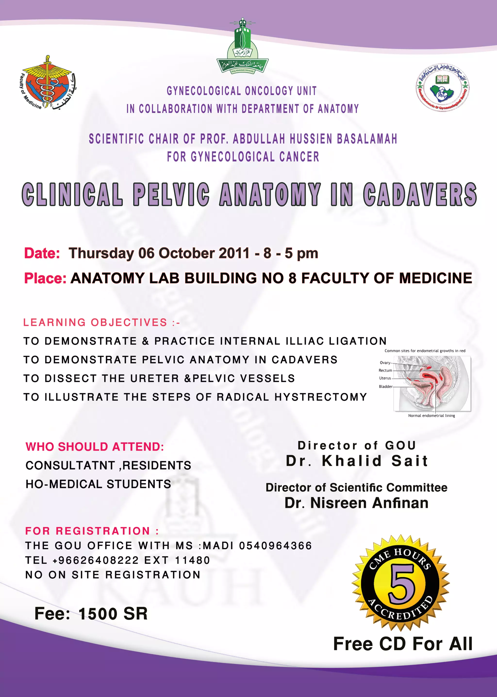 Pelvic anatomy poster | PDF