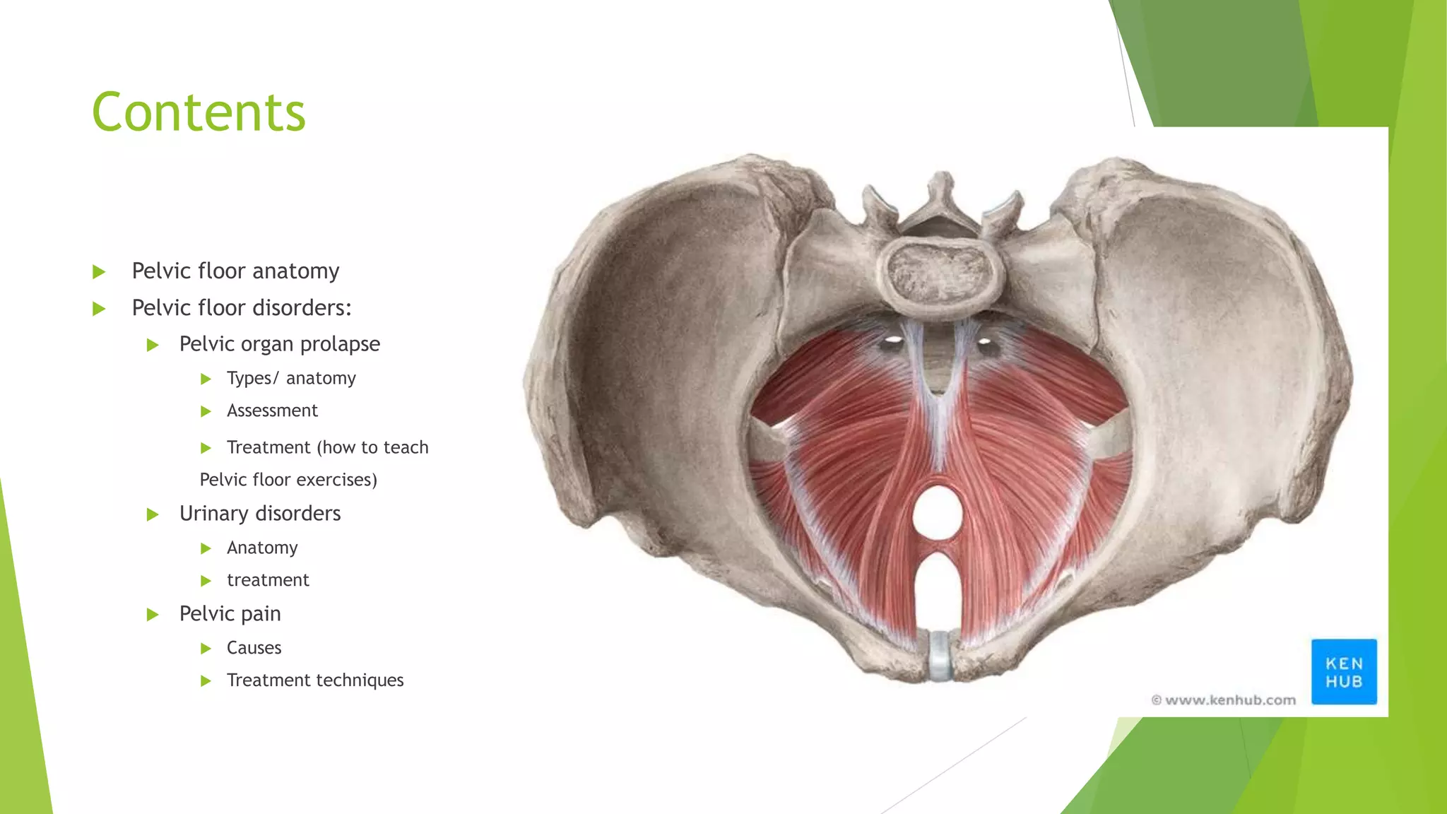 Pelvic-floor-presentation.pptx