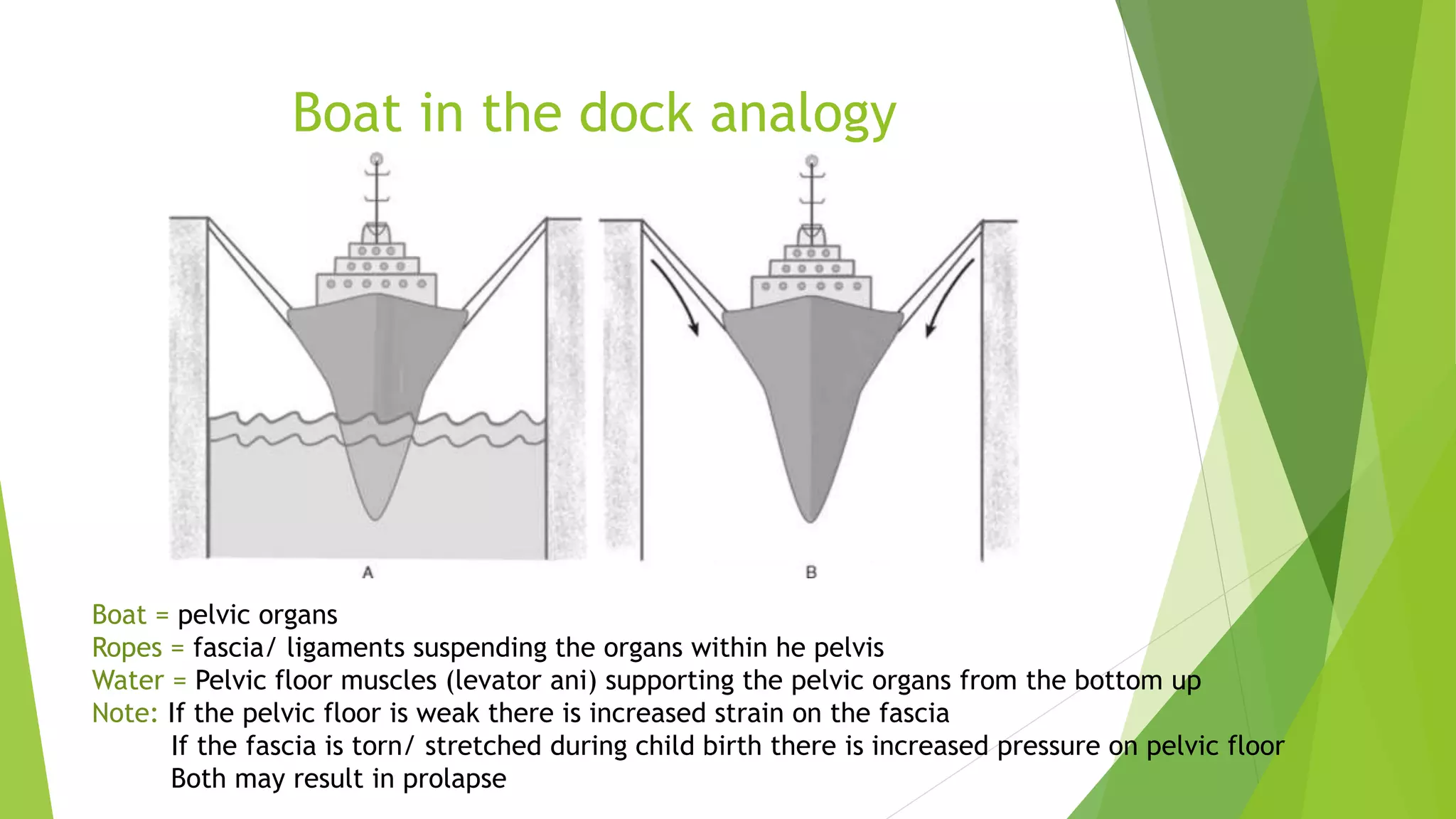 Pelvic-floor-presentation.pptx