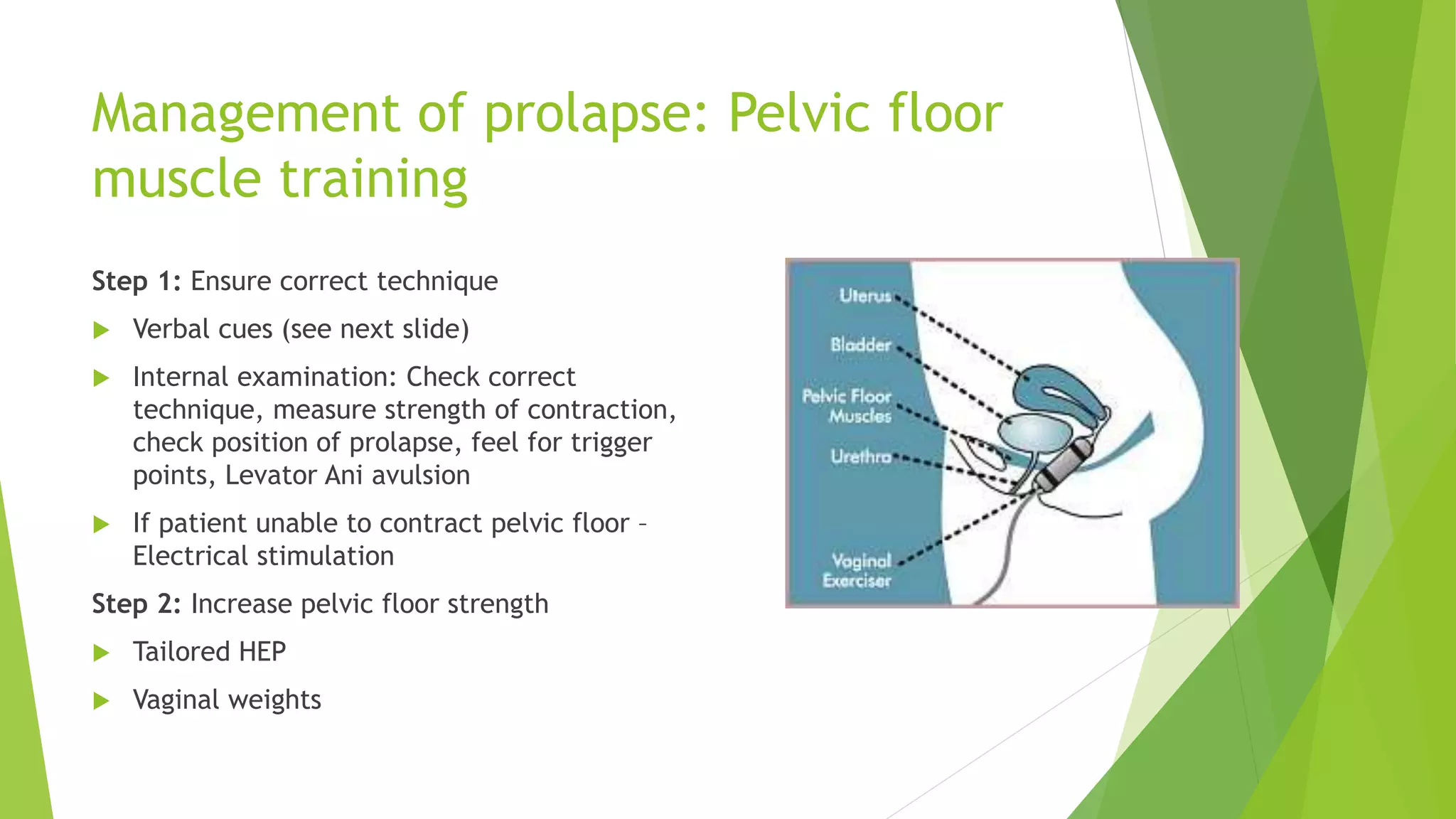 Pelvic-floor-presentation.pptx