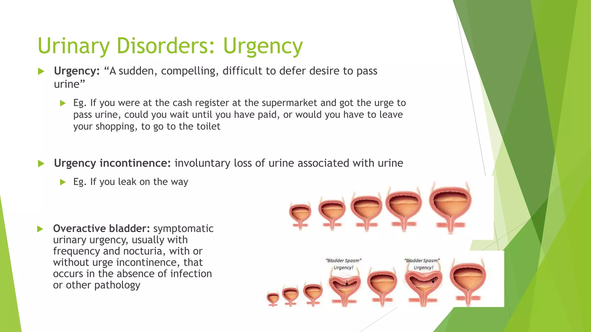 Pelvic-floor-presentation.pptx