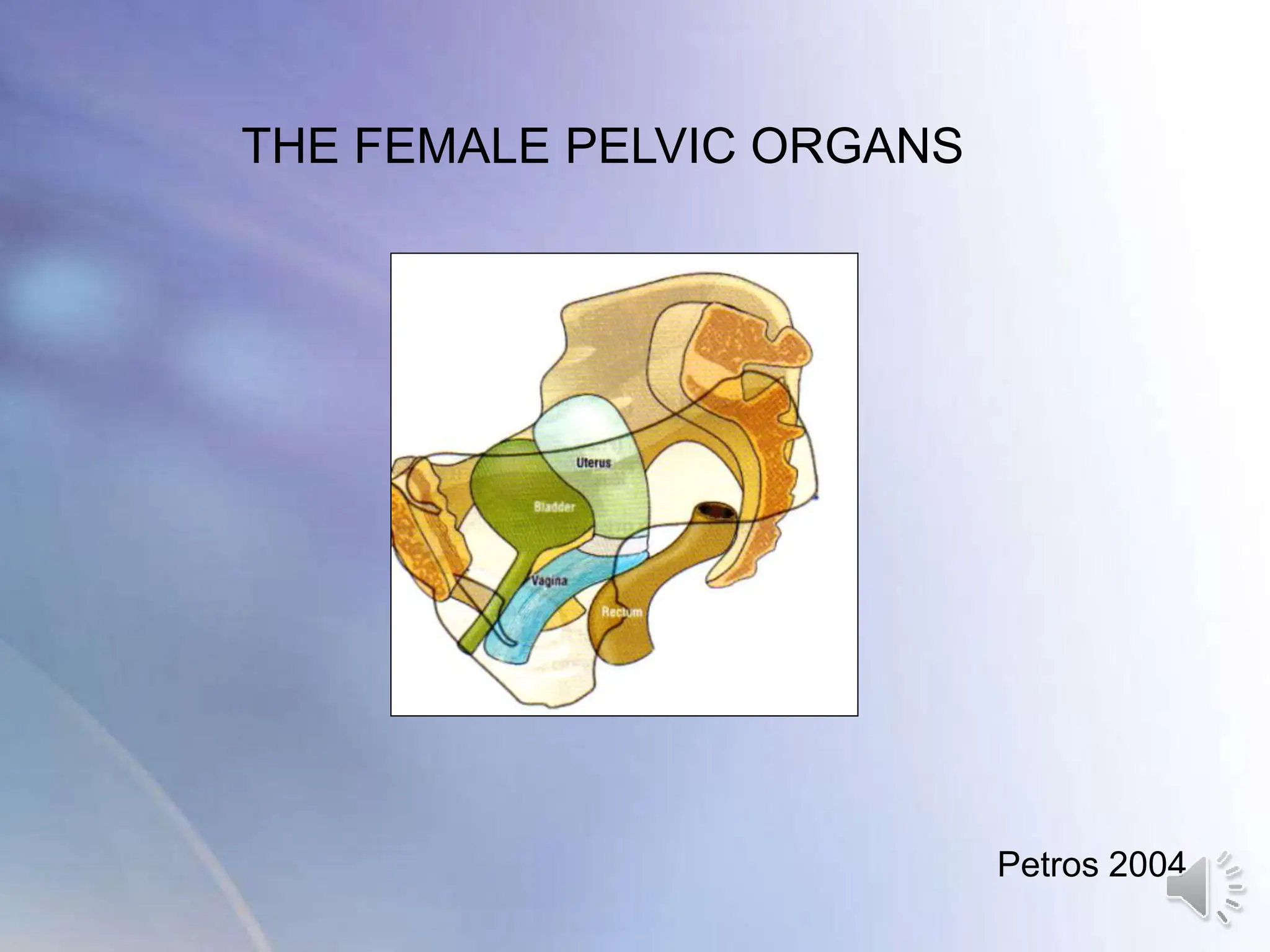 pelvic-floor-presentation-resources.pptx | Death, Injury, or Military Conflict | Sensitive Topics