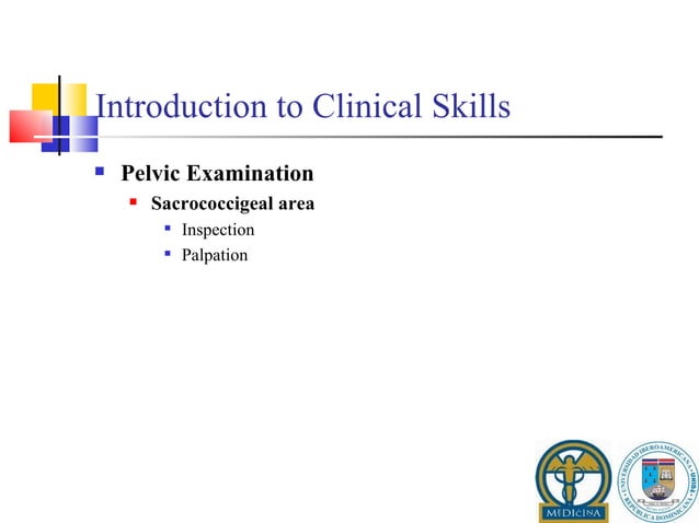 Pelvic genitals and groin | PPT