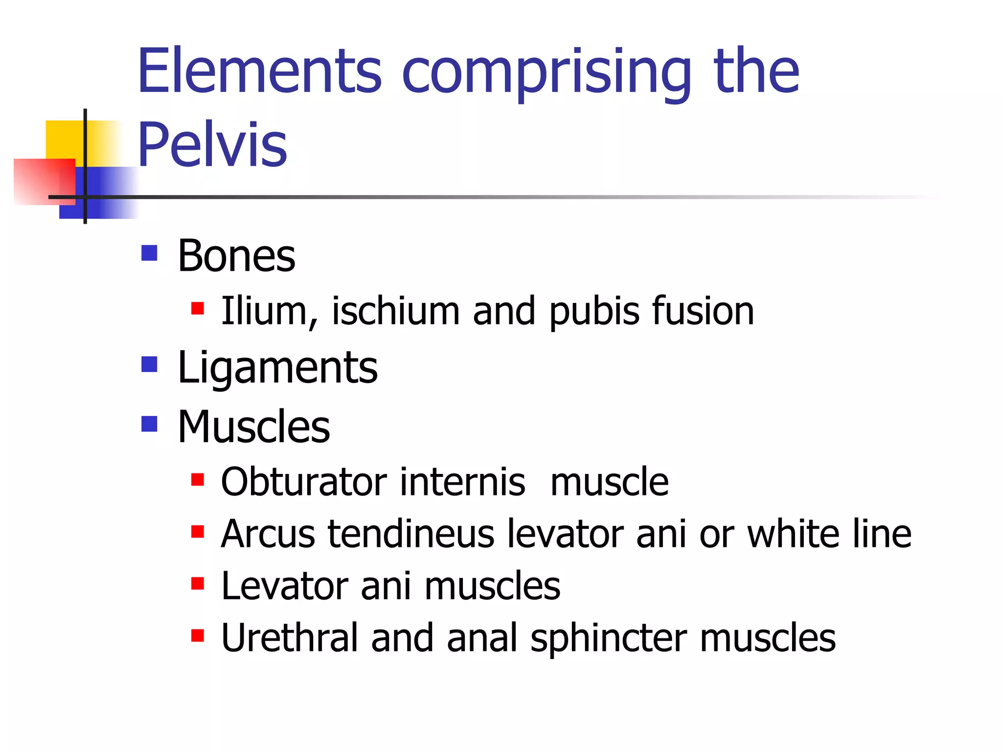 Pelvic Organ Prolapse - POP- www.jinekolojivegebelik:com | PPT