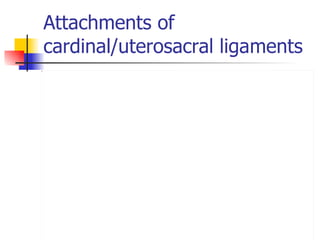Pelvic Organ Prolapse - POP- www.jinekolojivegebelik:com | PPT