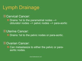 Pelvic anatomy | PPT