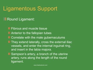 Pelvic anatomy | PPT