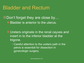 Pelvic anatomy | PPT