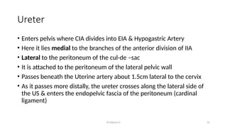 Anatomy of female pelvis - bony and soft tissue | PPTX