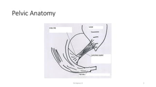 Anatomy of female pelvis - bony and soft tissue | PPTX