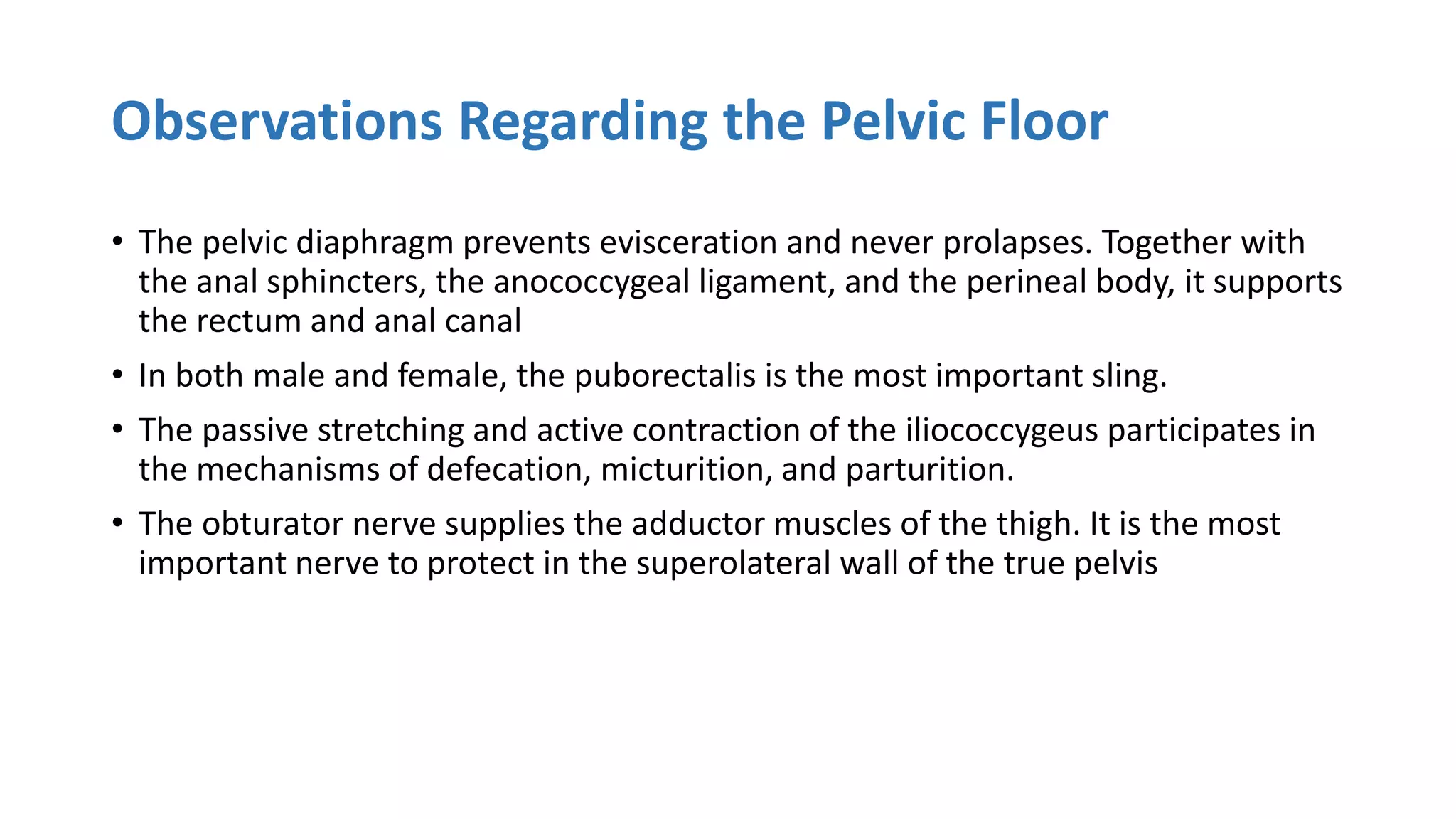 Pelvic anatomy | PPTX