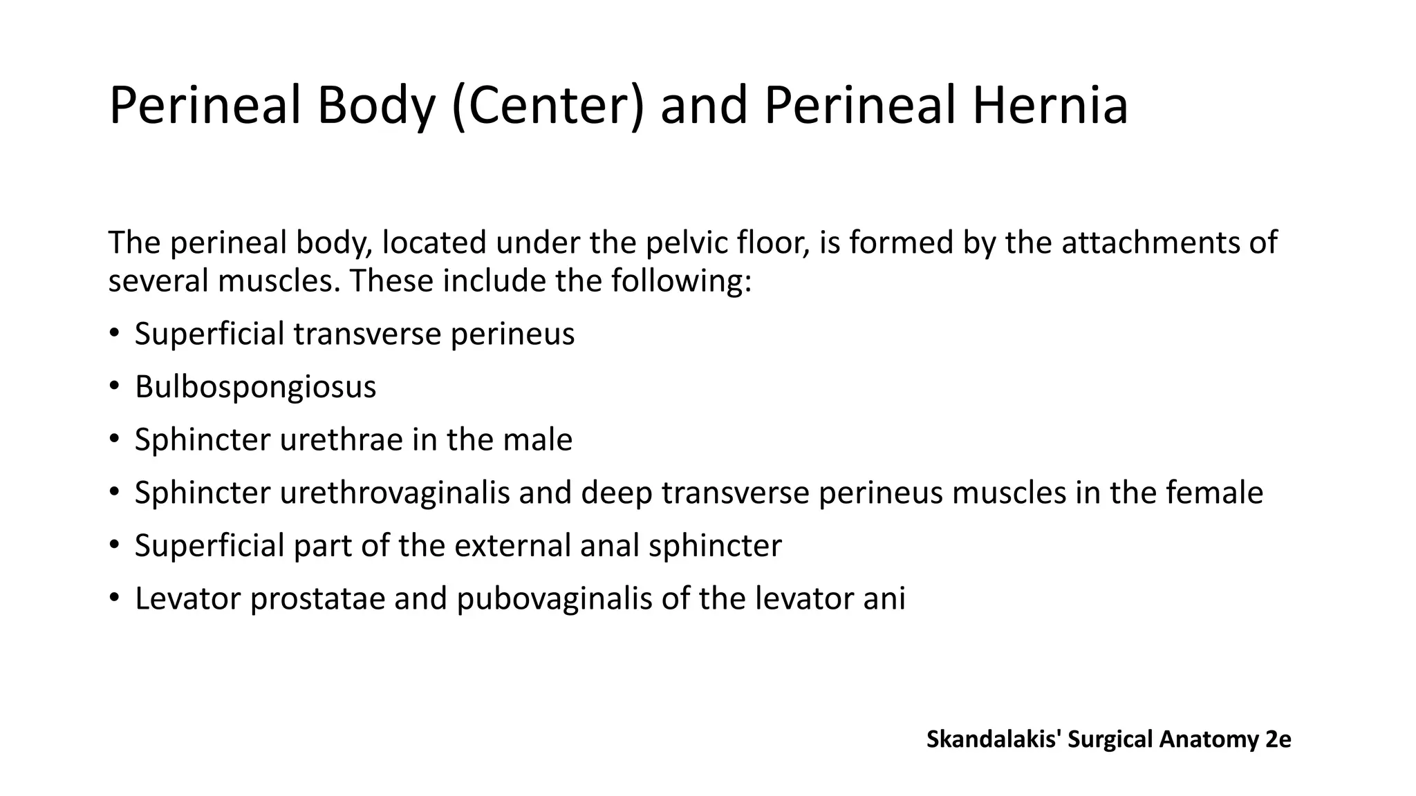 Pelvic anatomy | PPTX