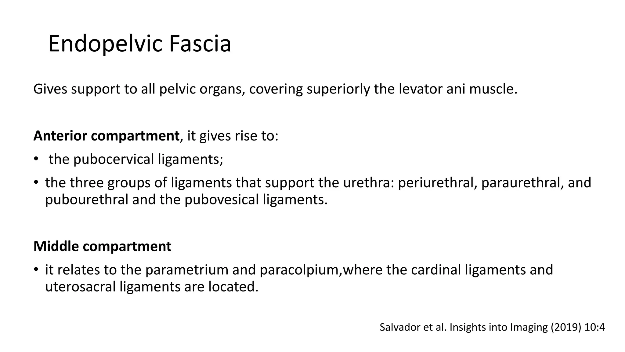 Pelvic anatomy | PPTX