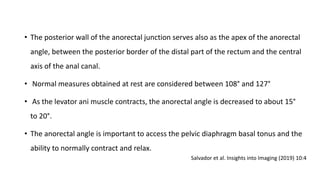 Pelvic anatomy | PPTX